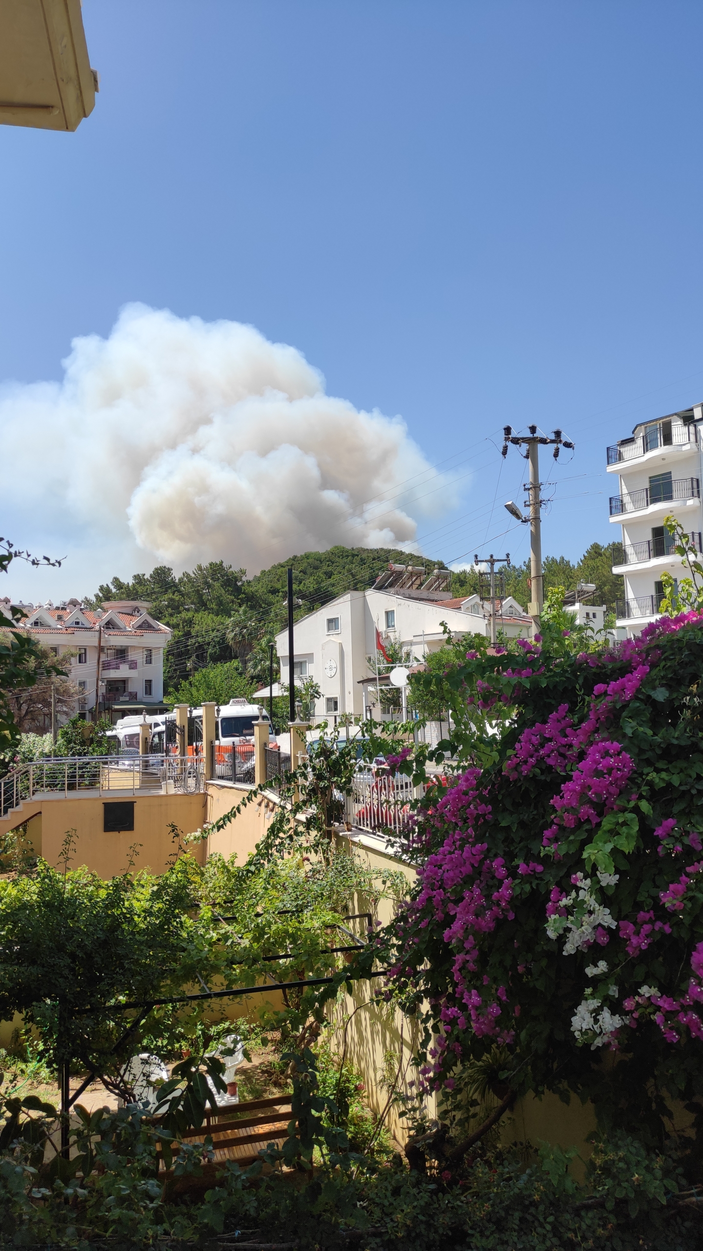 Forest fire on the last lockdown Sunday in Icmeler Marmaris - Marmaris ...