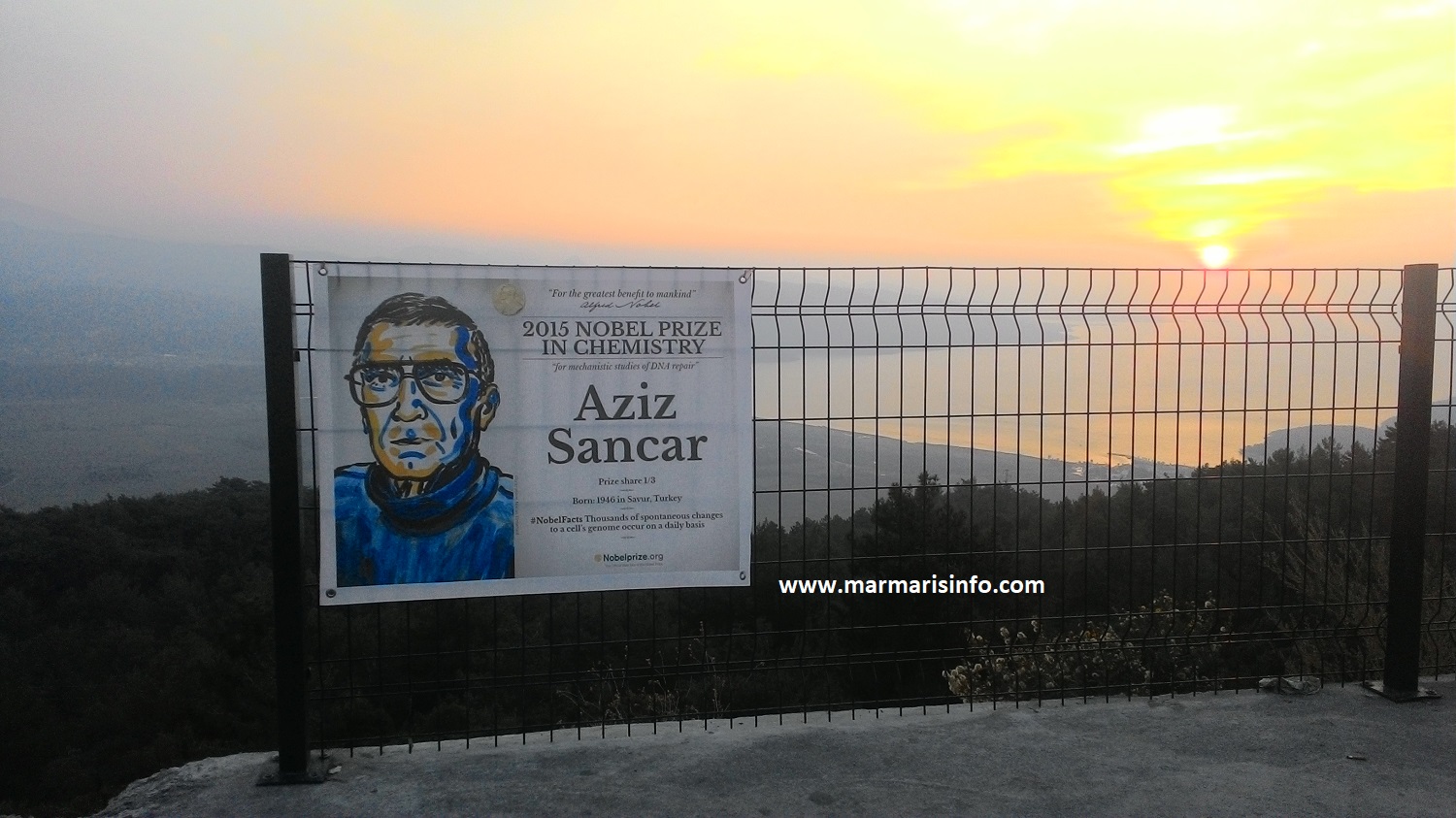 Did you know the Turkish scientist was awarded the Nobel Prize